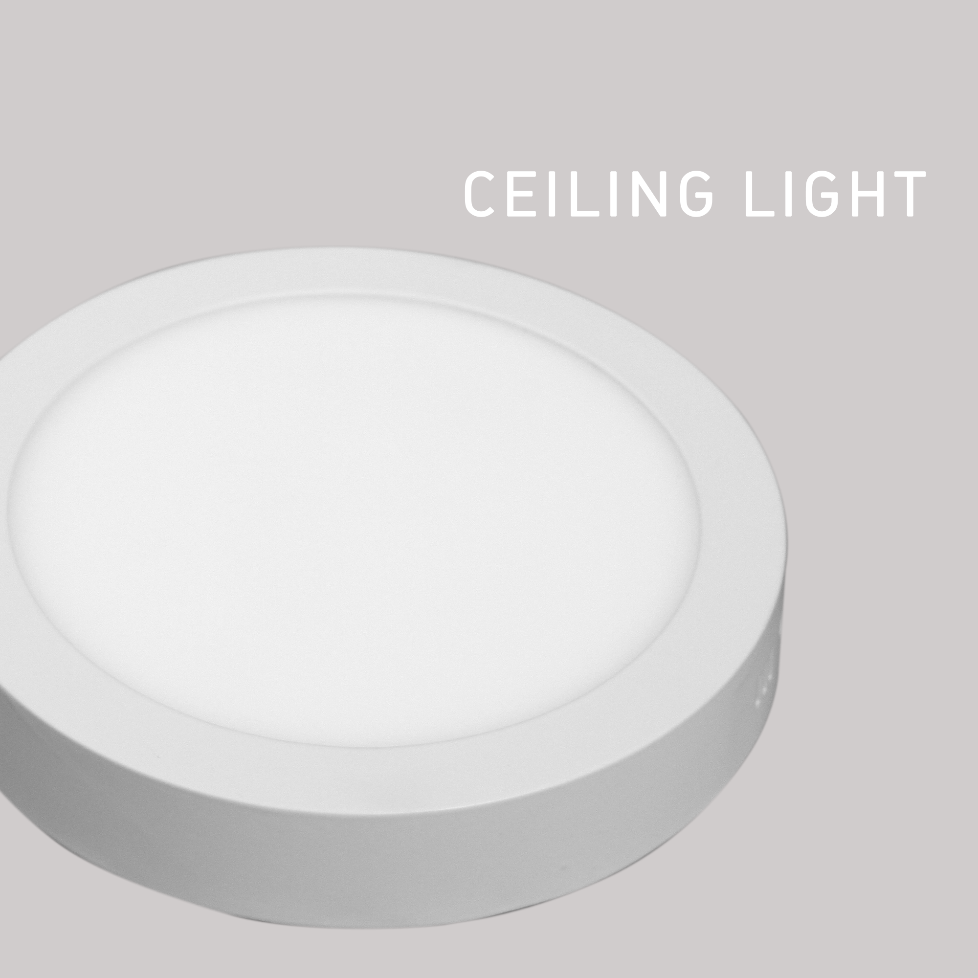 Ceiling Light - BEACON LED Lighting