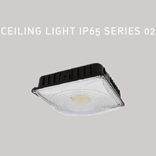 Ceiling Light IP65 Series 03 - BEACON LED Lighting