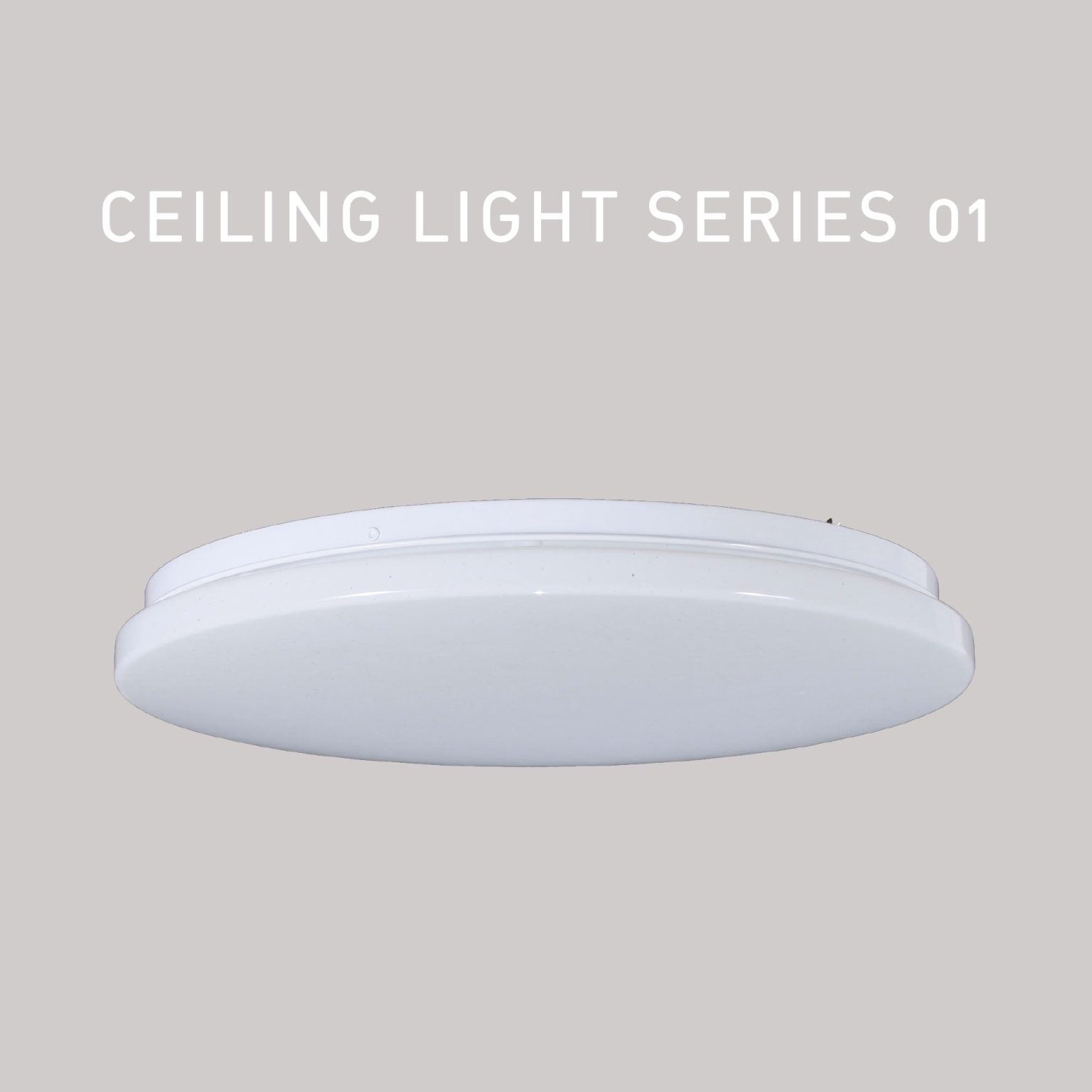 Surface Mounted Ceiling Light - BEACON LED Lighting