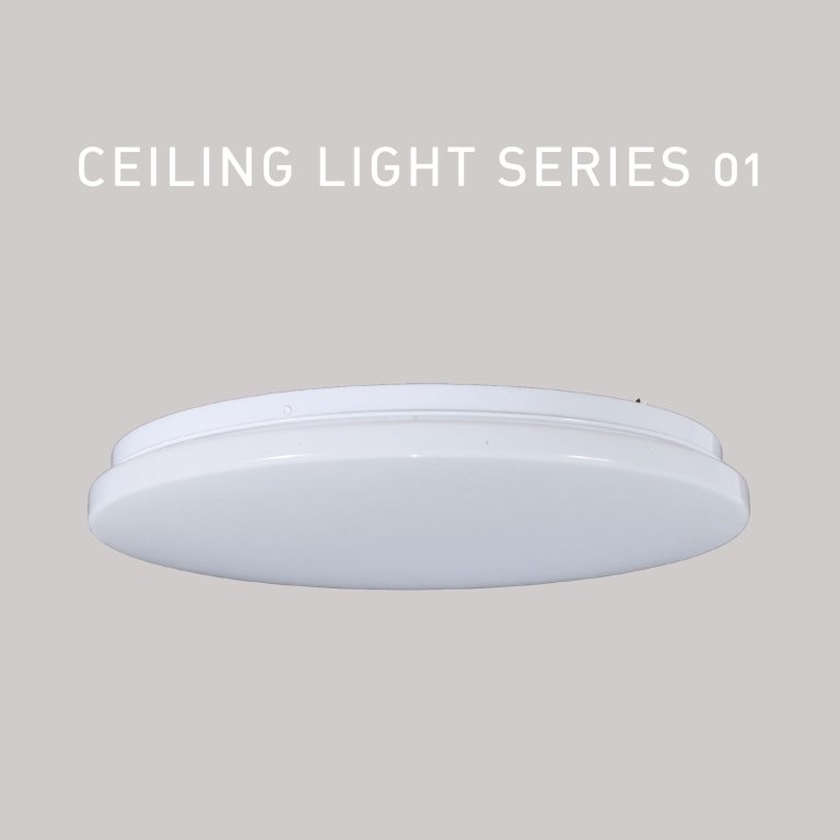 Ceiling Light IP65 Series 06 - BEACON LED Lighting