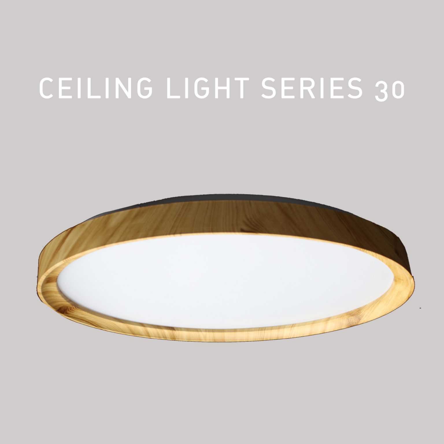 Ceiling Light IP65 Series 06 - BEACON LED Lighting