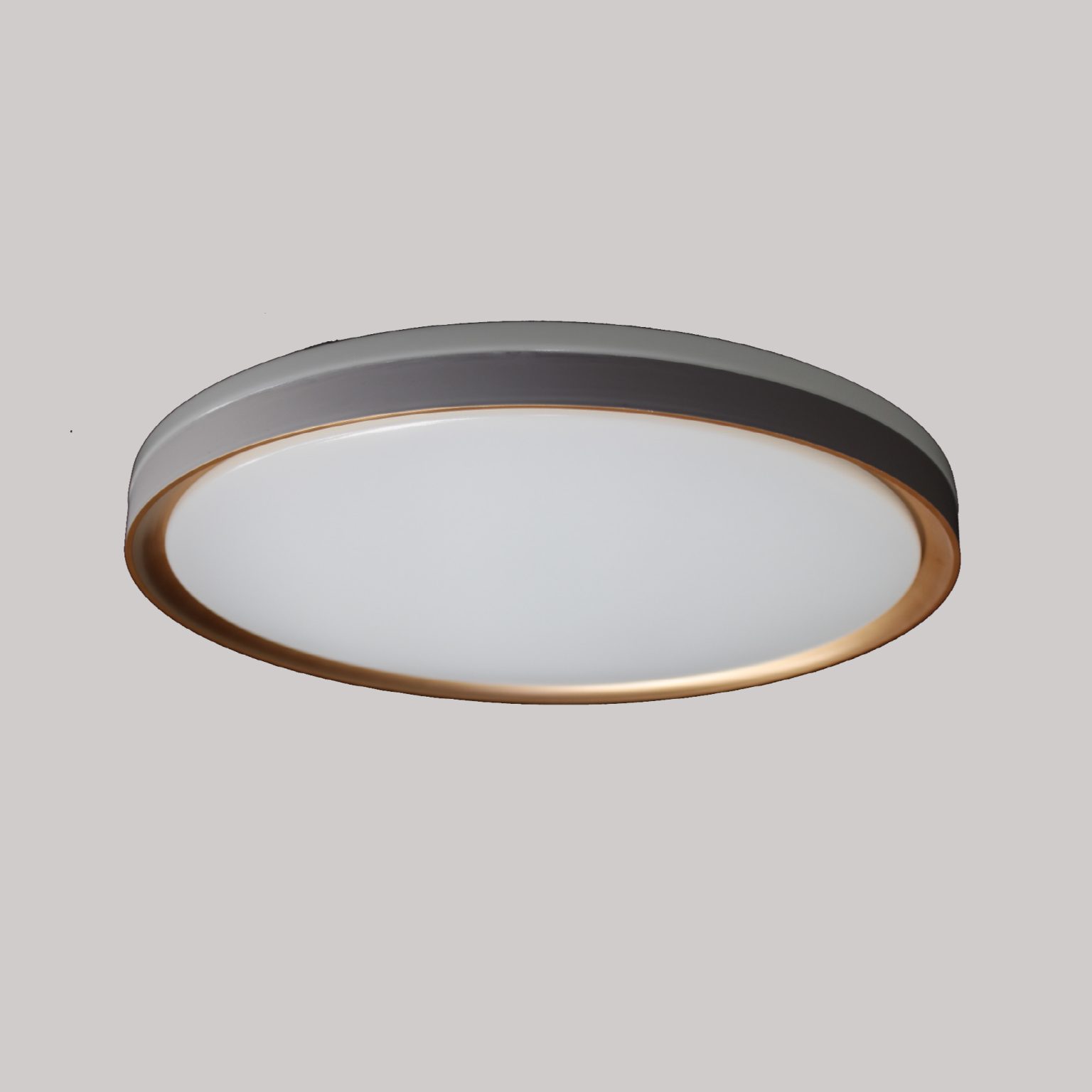 Ceiling Light IP65 Series 06 - BEACON LED Lighting