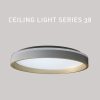 Surface Mounted Ceiling Light - BEACON LED Lighting