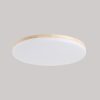 Surface Mounted Ceiling Light - BEACON LED Lighting